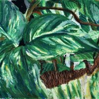 CV – Ellen Harrold